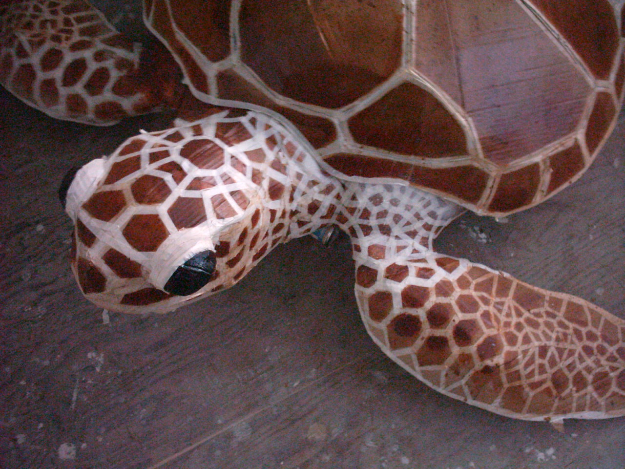 green sea turtles | various | paper portraits | Bert Simons | Portfolio